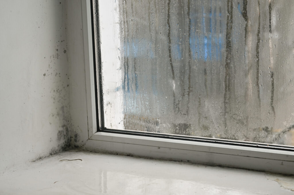 Battling Condensation: Strategies to Manage Humidity in Your Home ...